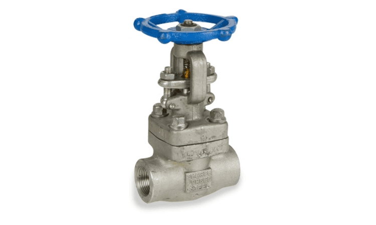 Gate Valves | 1 piece forged or socket welded stainless steel gate ...
